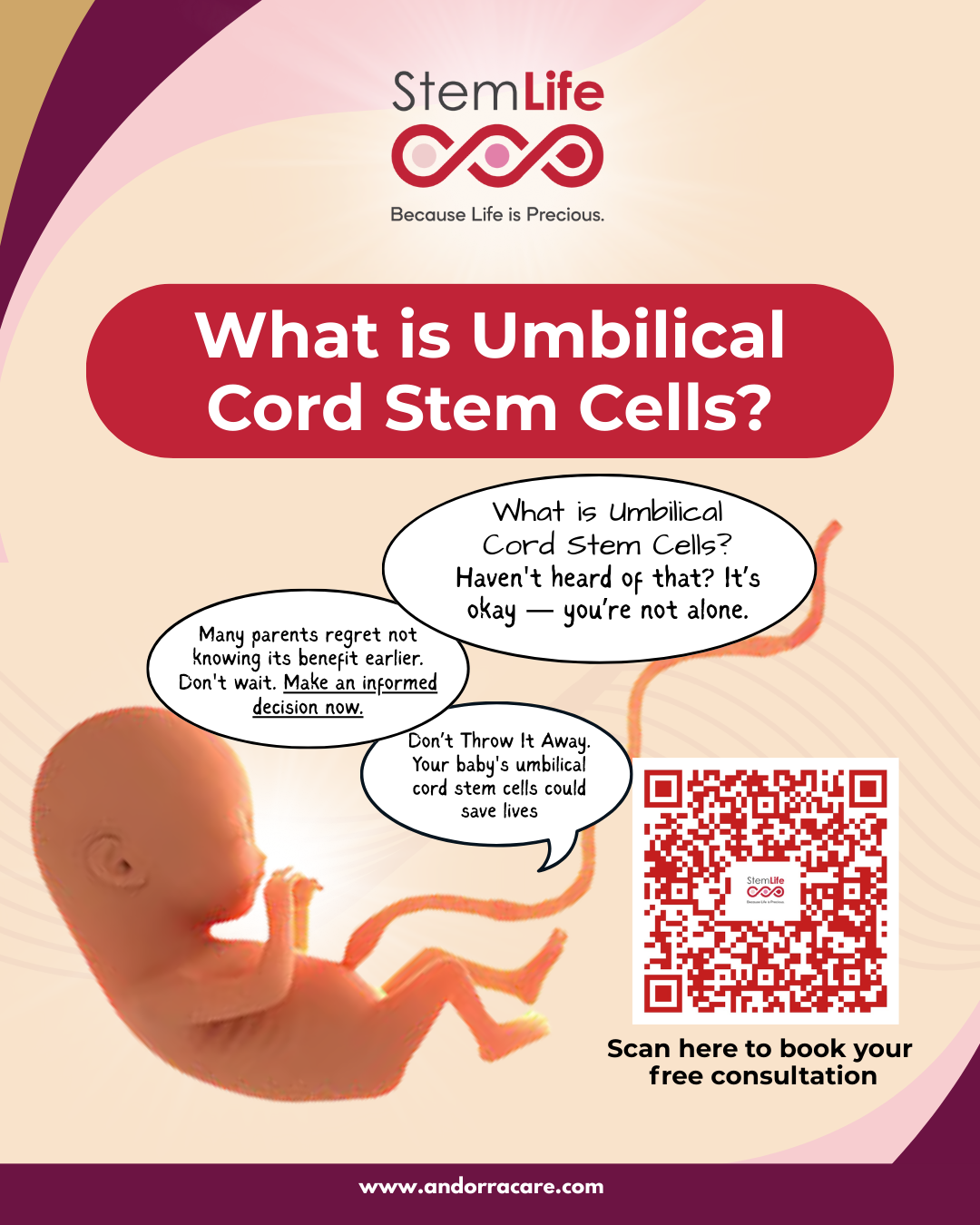Your Baby’s First Gift - Umbilical Cord Stem Cells - ANDORRA